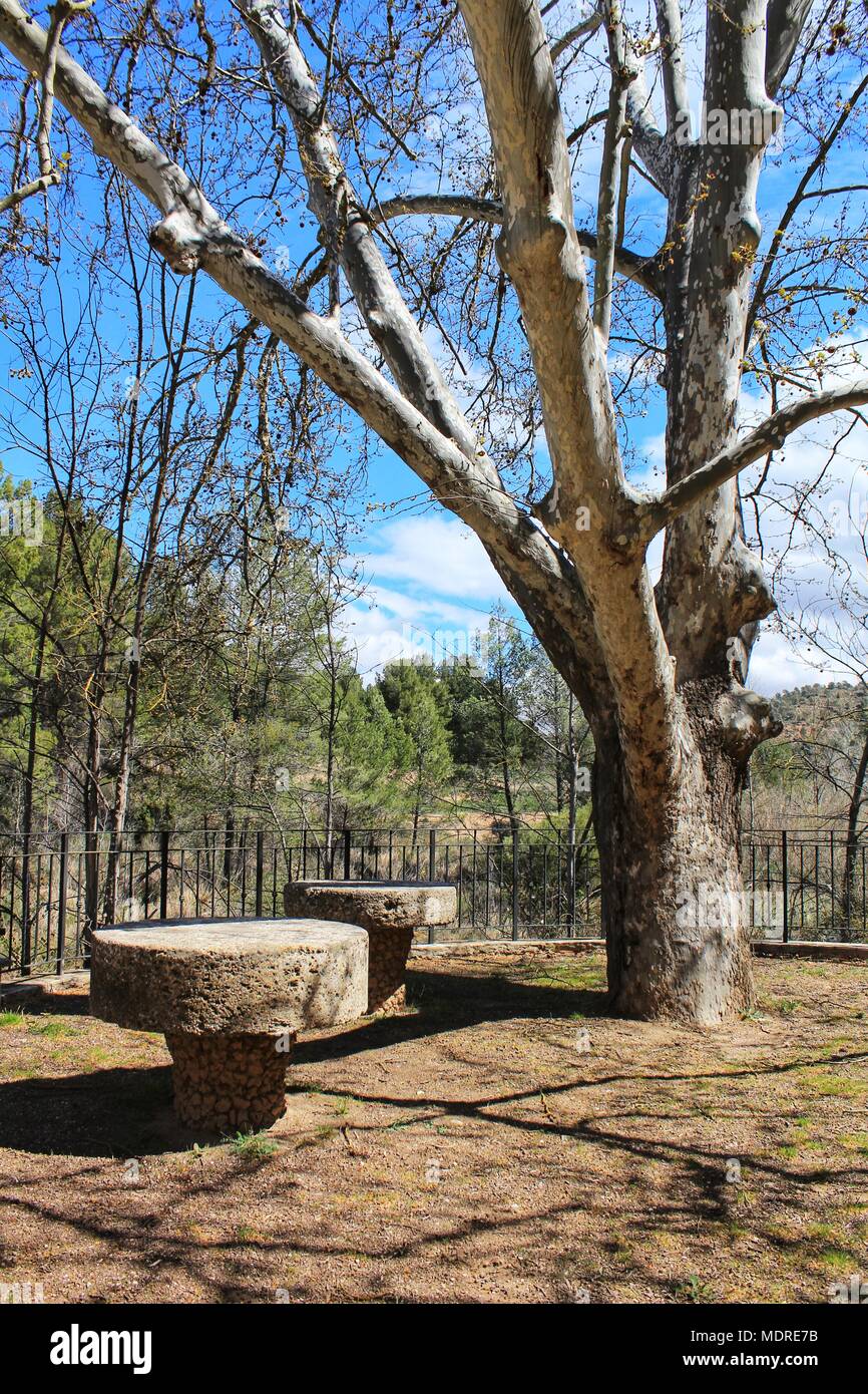 Stone tables next to a tree in a park in Spain Stock Photo - Alamy