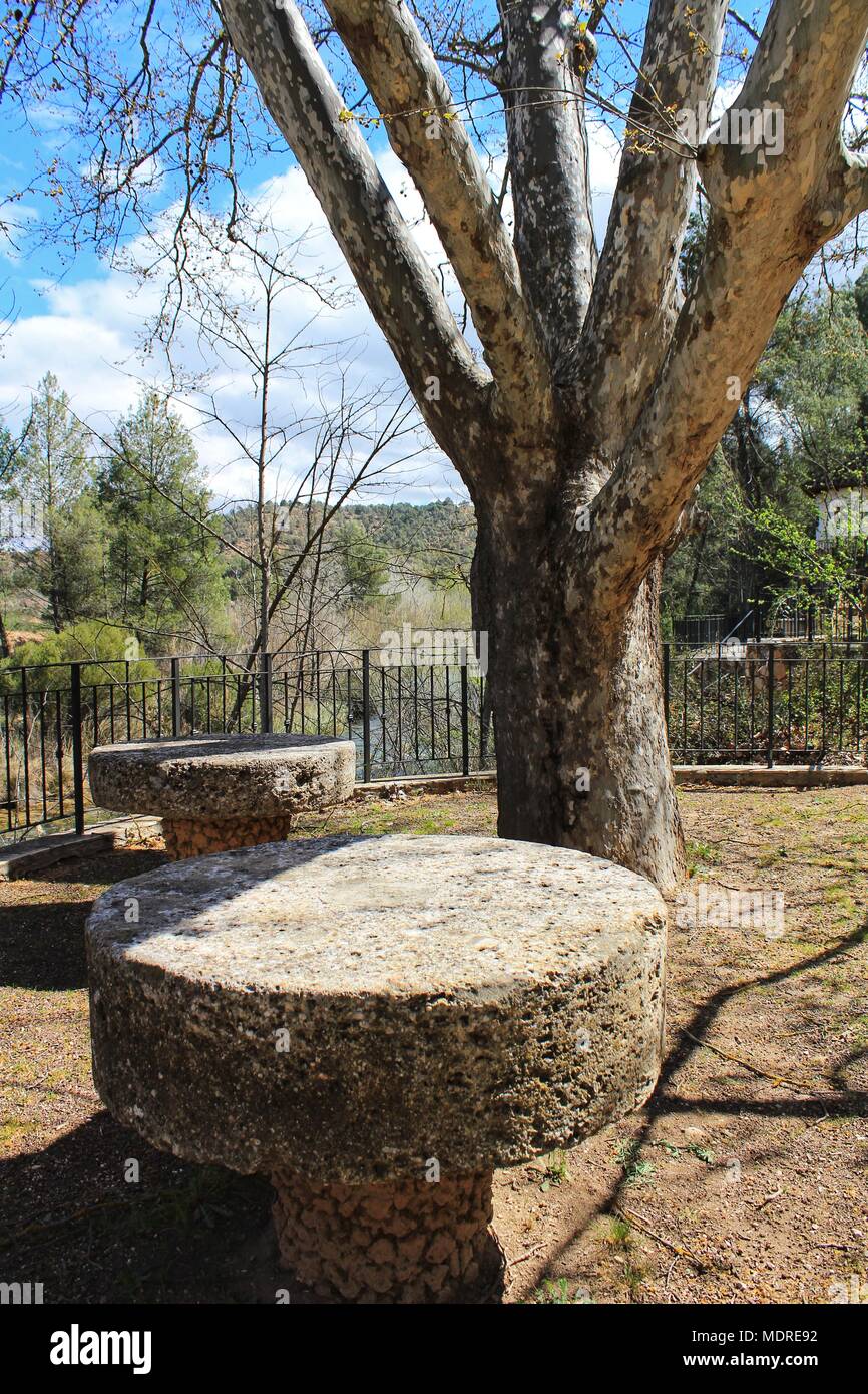 Stone tables next to a tree in a park in Spain Stock Photo - Alamy