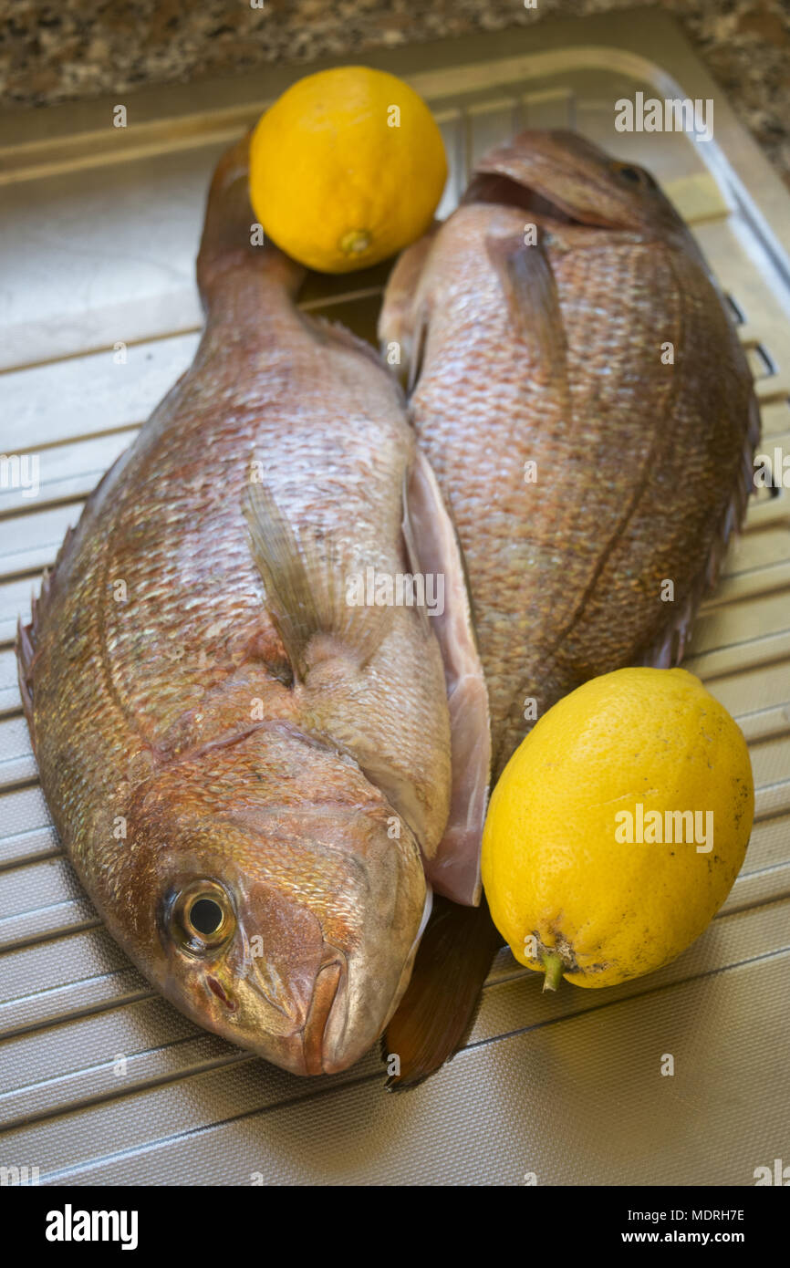 Pyrex dish hi-res stock photography and images - Alamy