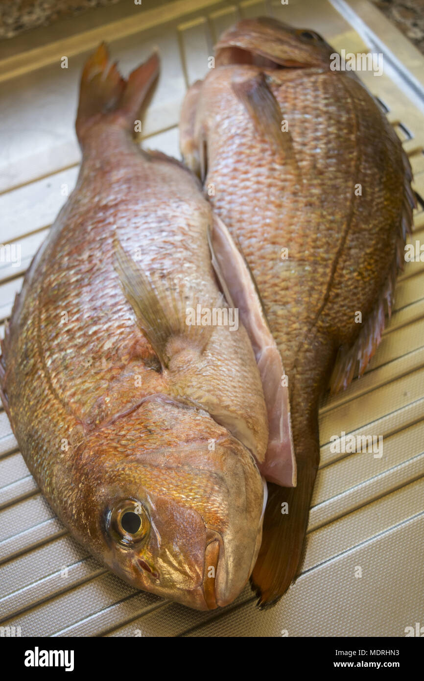 Pyrex dish hi-res stock photography and images - Alamy