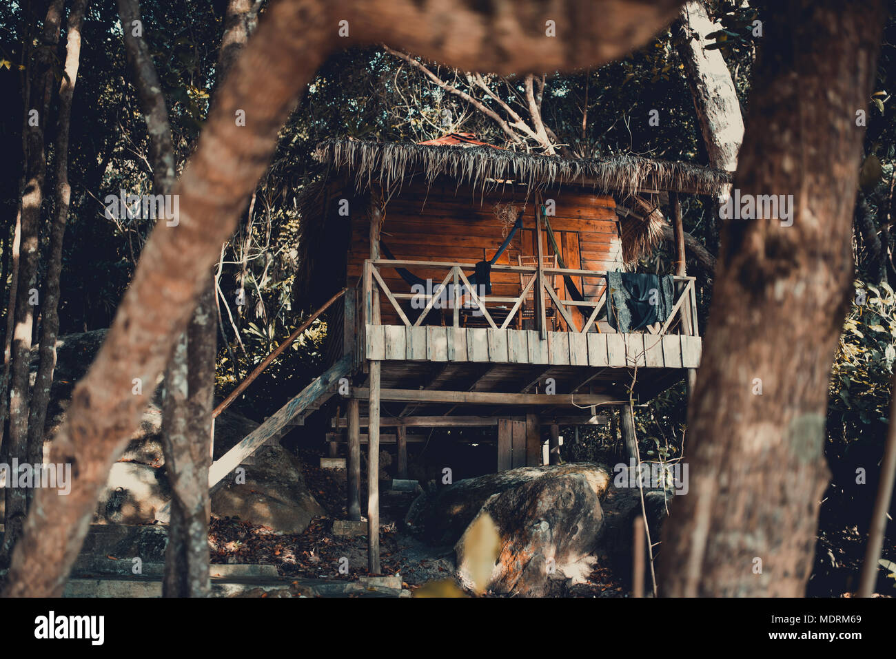 Wooden beach hut between trees in the jungle. Koh Rong Samloem Island ...