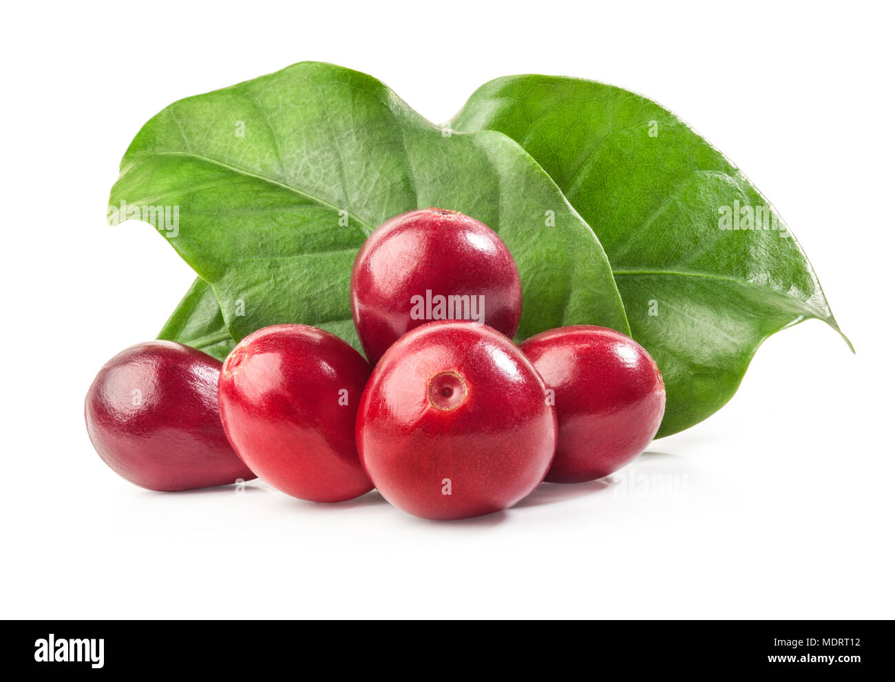 Red coffee beans isolated on white background with clipping path Stock ...