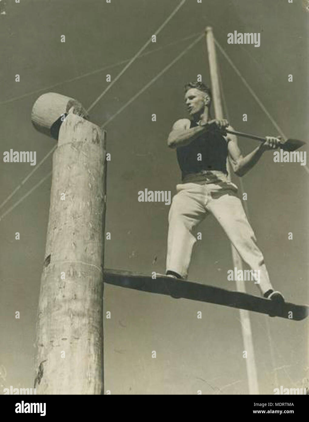 Champion axeman Charlie Winkle competing in a tree-felling event at ...