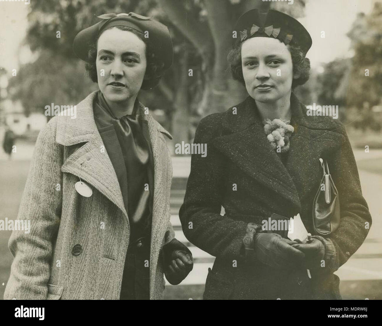 Doomben race course hi-res stock photography and images - Alamy