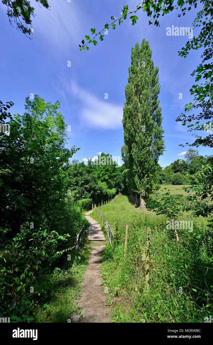 Rural footpath hi-res stock photography and images - Alamy