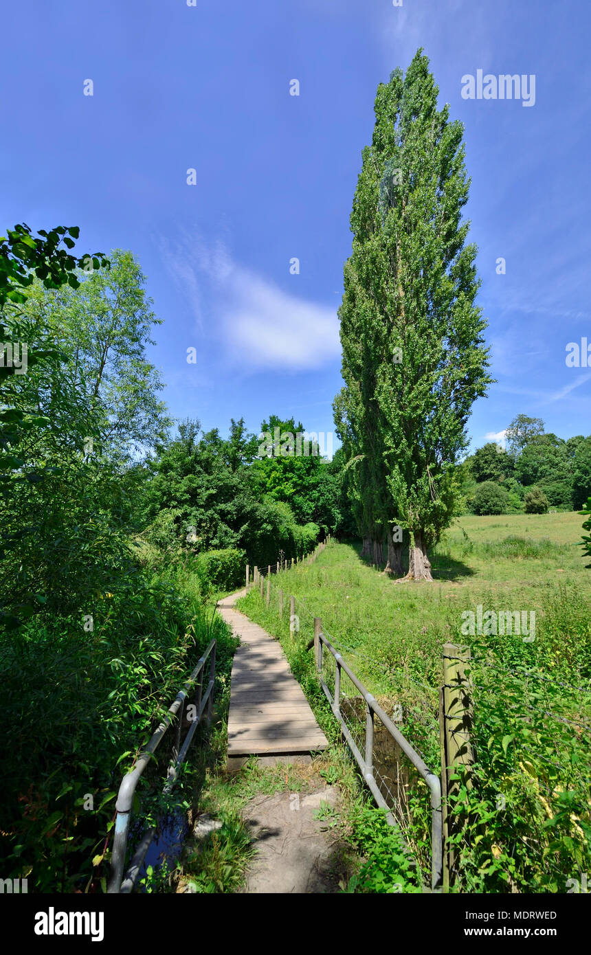 Rural footpath hi-res stock photography and images - Alamy