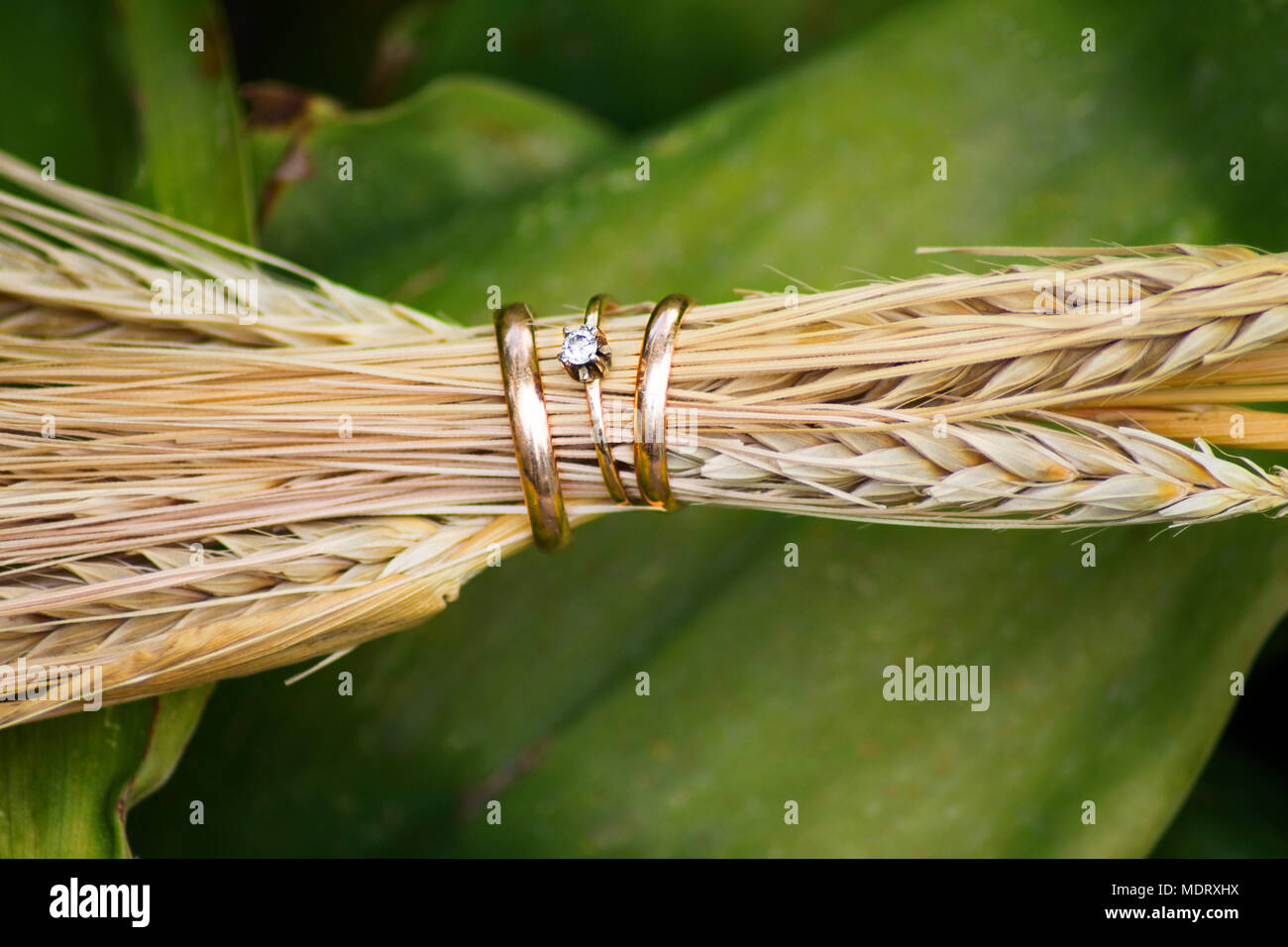 Wheat rings hi-res stock photography and images - Alamy