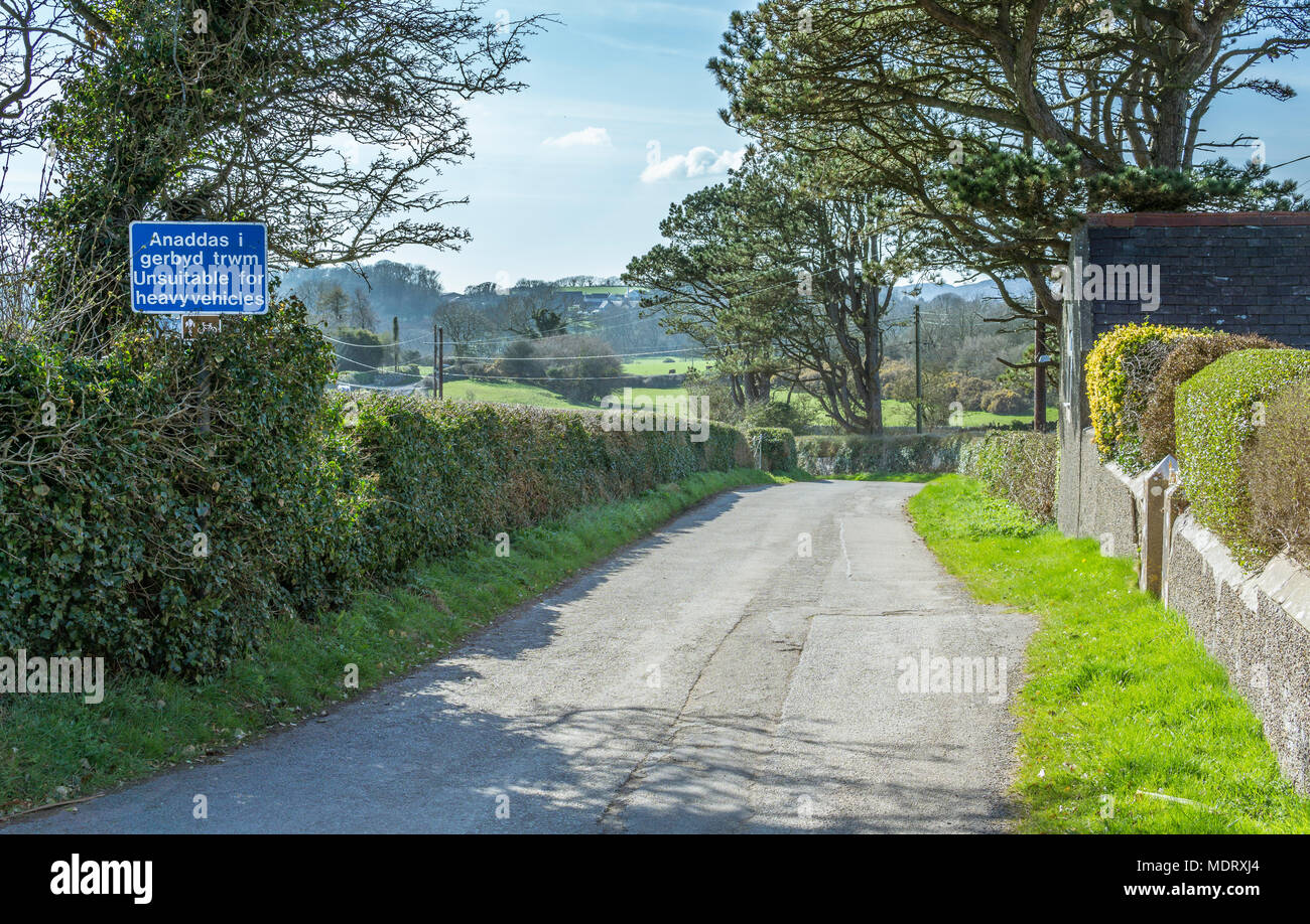 Marianglas hi-res stock photography and images - Alamy