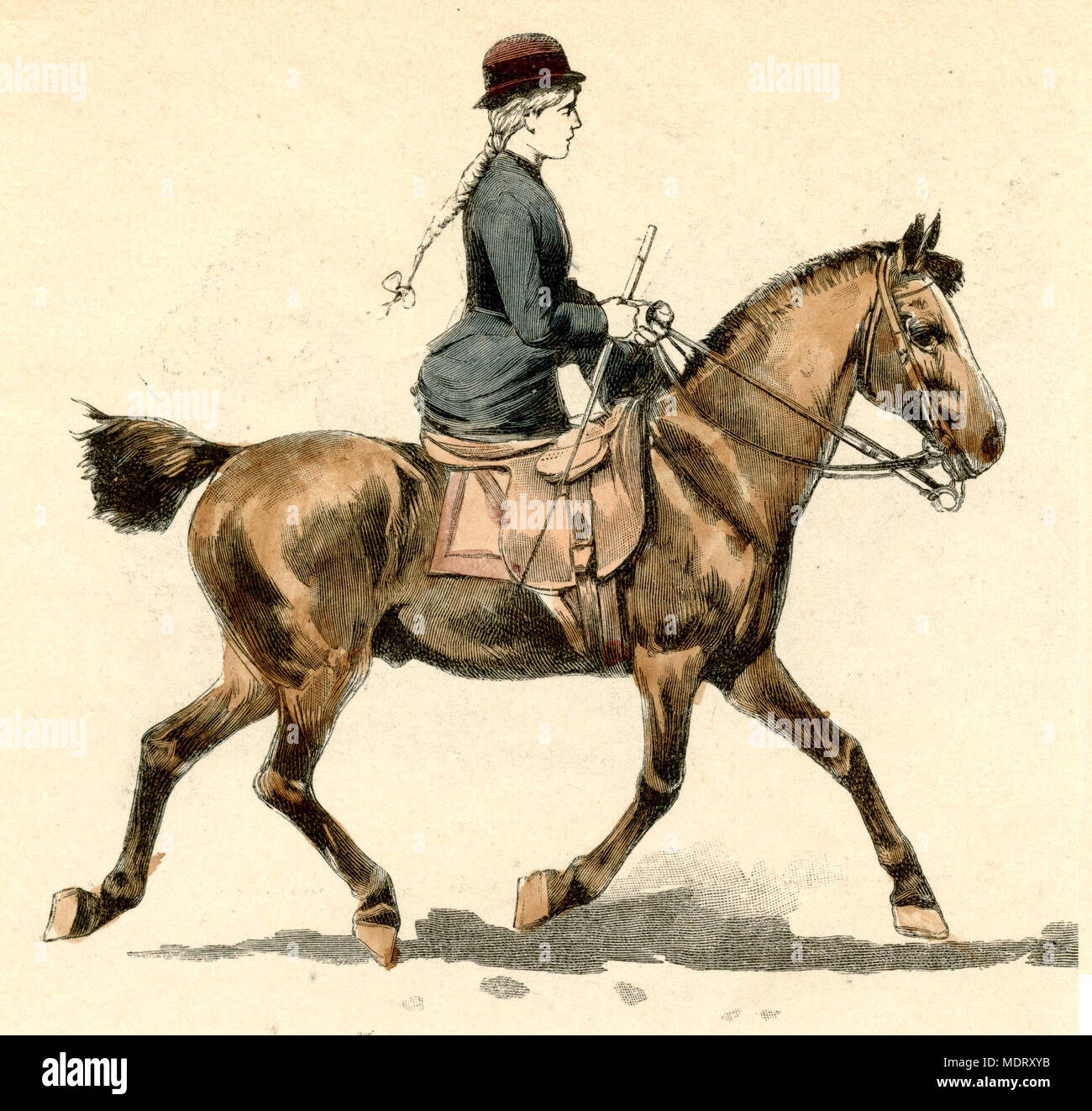 Sidesaddle saddle hi-res stock photography and images - Alamy