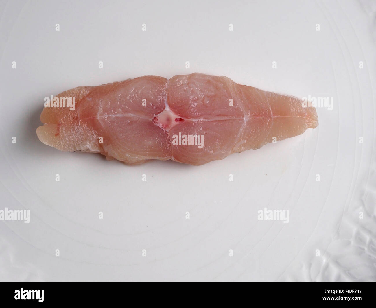 Golden pompano hi-res stock photography and images - Alamy