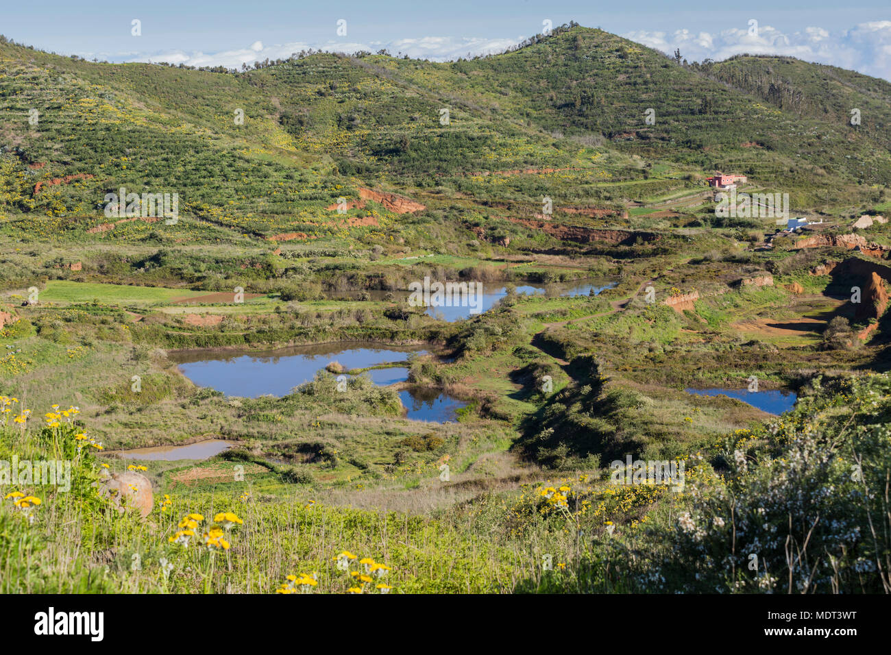 Erjos ponds in the Santiago del Teide area full of water in spring. The ...