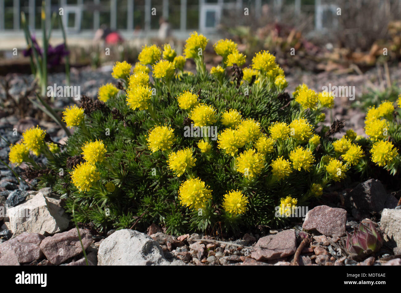 Round spring hi-res stock photography and images - Alamy