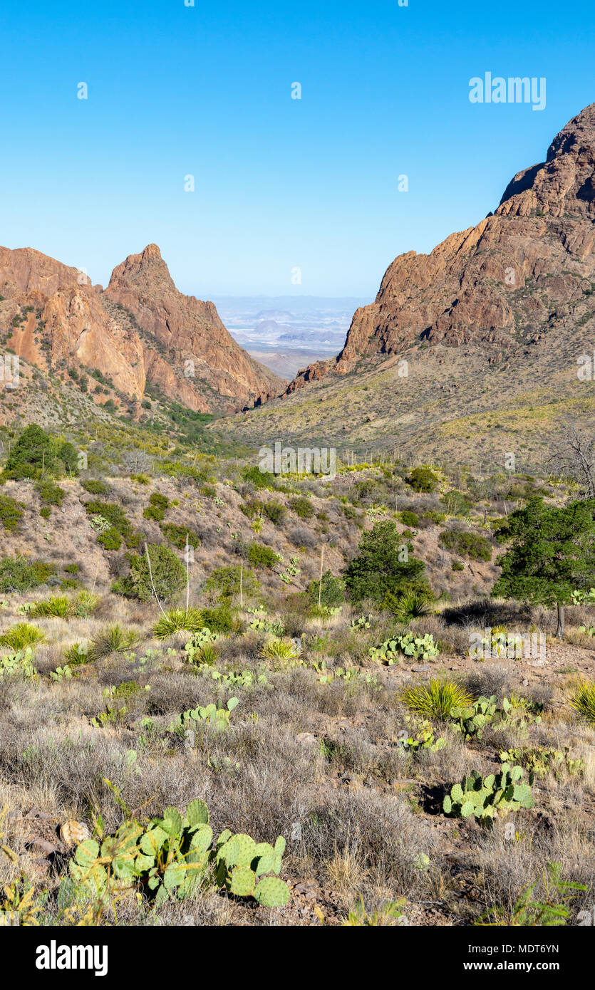 Texas, Big Bend National Park, Chisos Basin, Window View Trail Stock ...