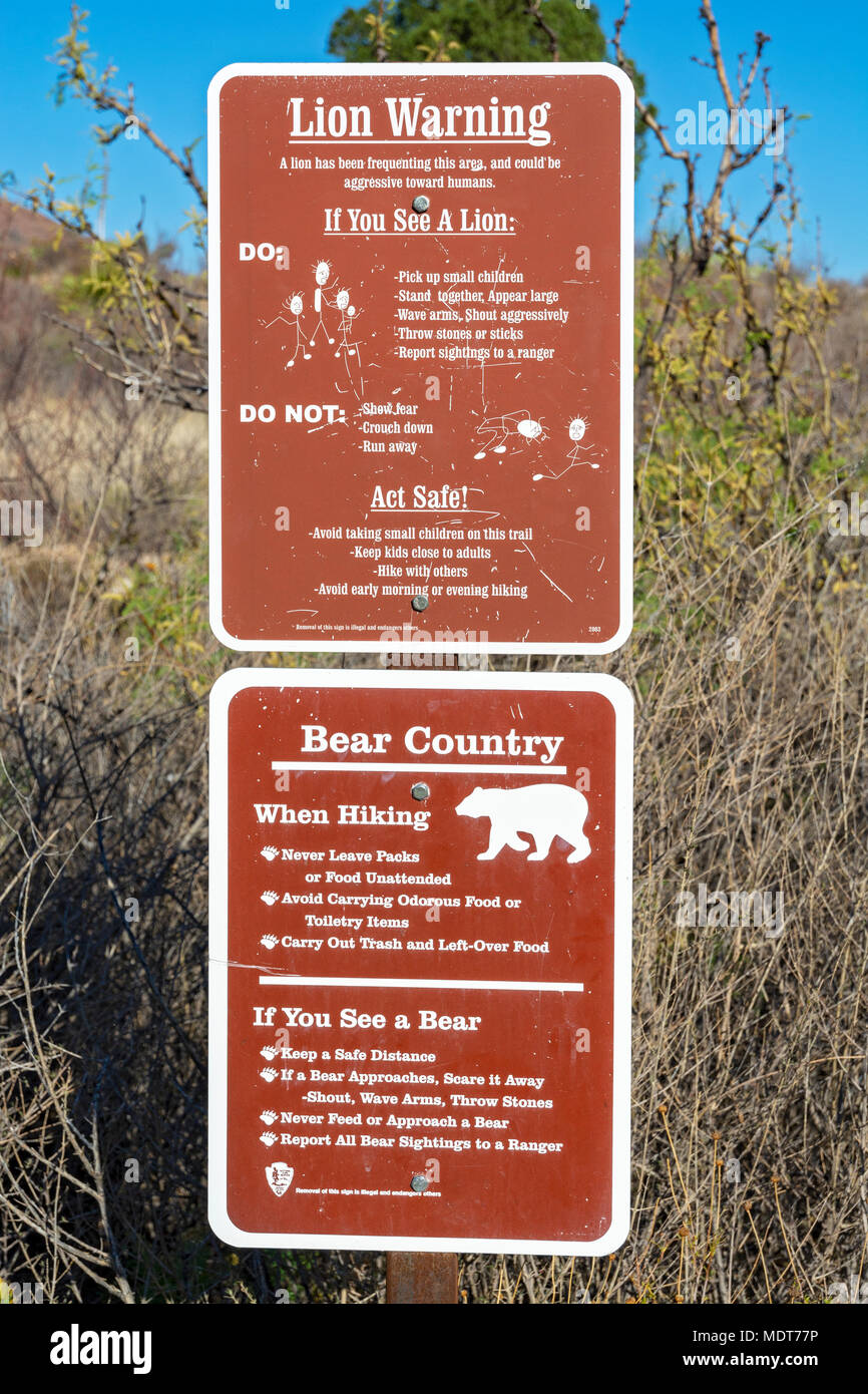 Texas, Big Bend National Park, Chisos Basin, Mountain Lion and Bear ...