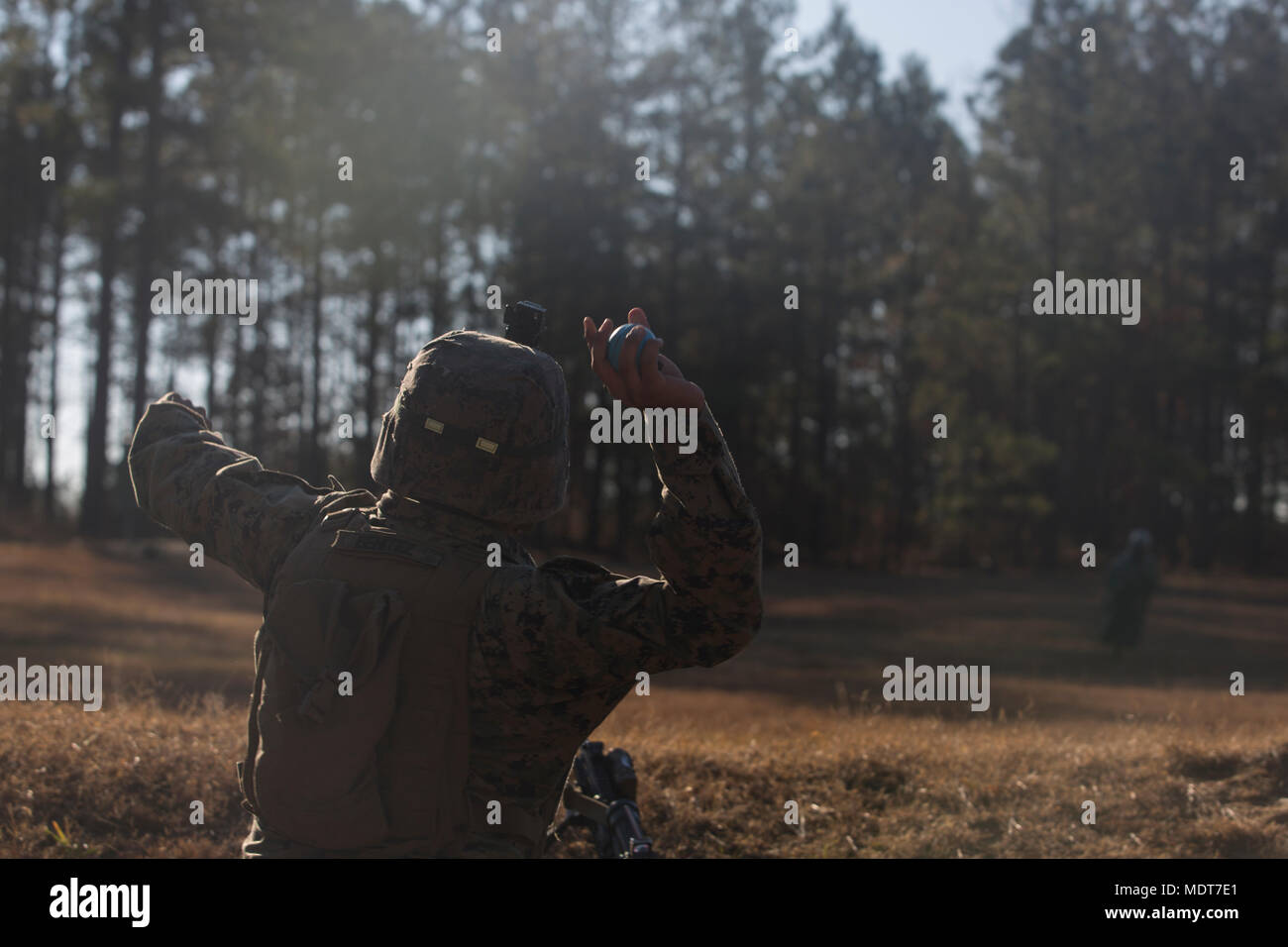 A Marine with 2nd Battalion, 8th Marine Regiment throws an M69 training ...