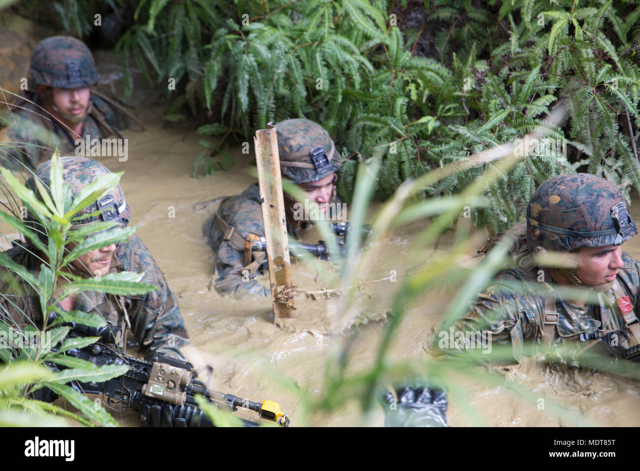 U.S. Marines conduct the endurance course at the Jungle Warfare ...