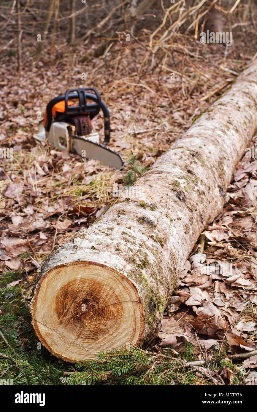 Logging chain saw hi-res stock photography and images - Alamy