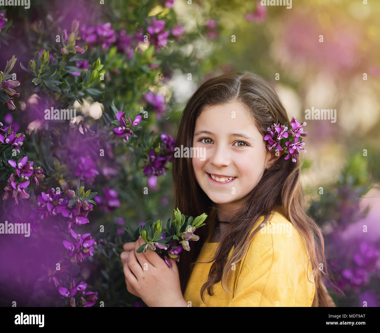 Beautiful little flower hi-res stock photography and images - Alamy