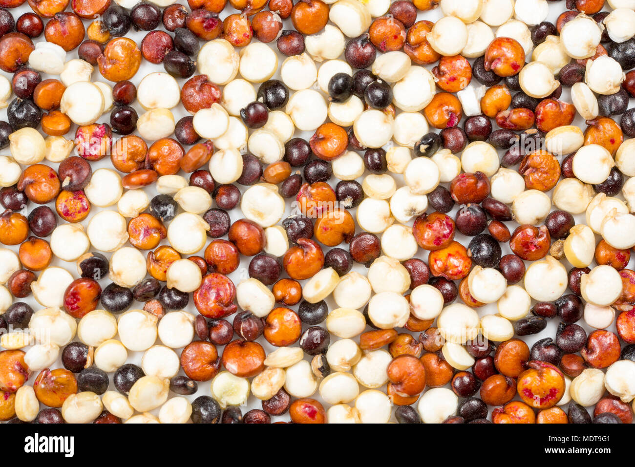 Chenopodium quinoa hi-res stock photography and images - Alamy