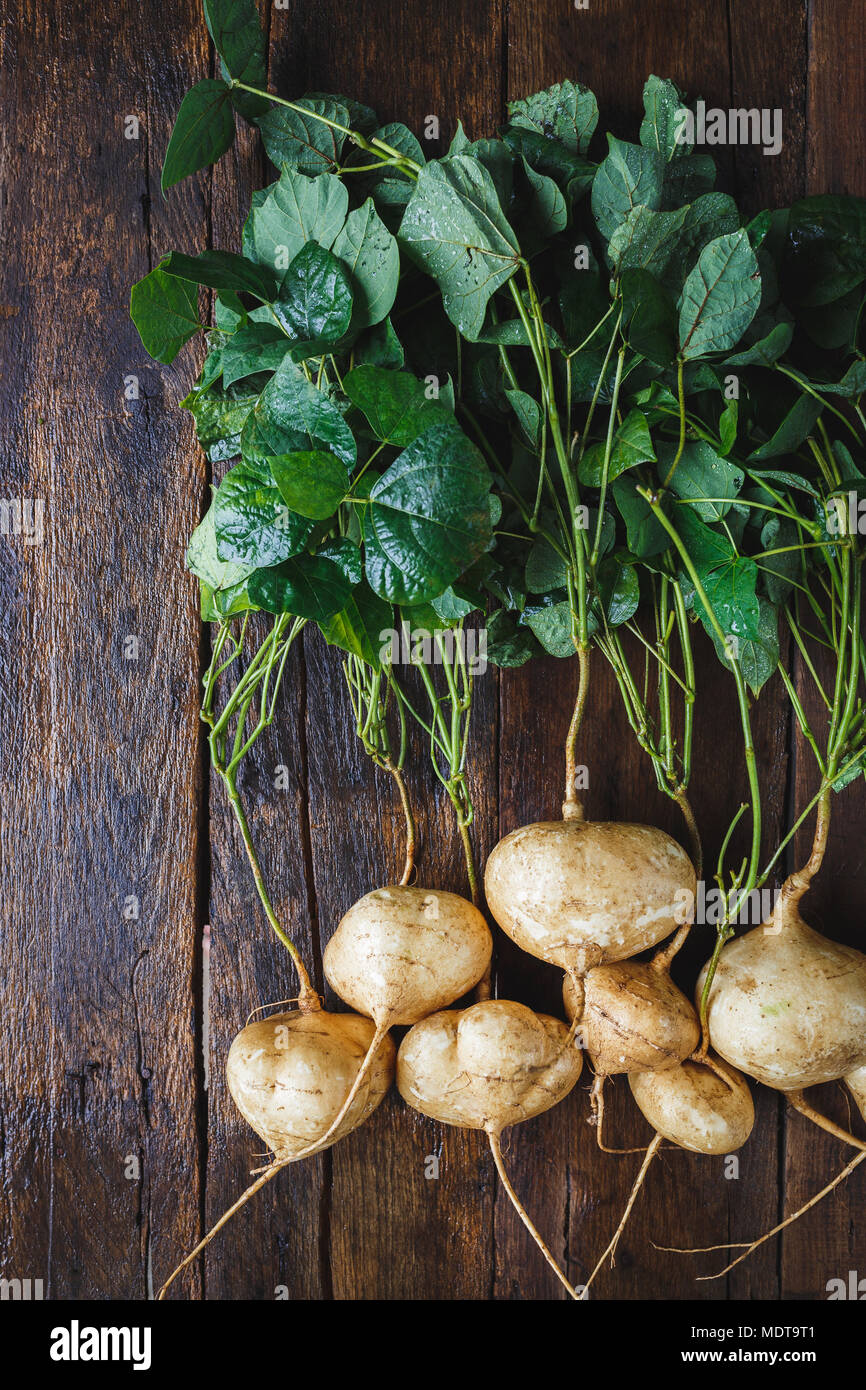 Tropical yam hi-res stock photography and images - Alamy