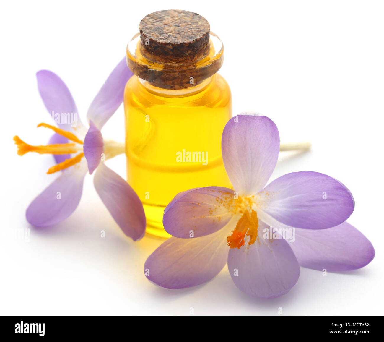 Saffron crocus flower with extract in a bottle over white Stock Photo ...