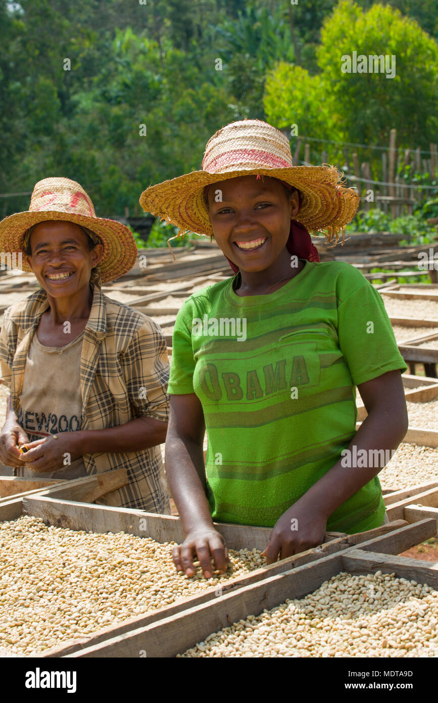 Coffee processing mill hi-res stock photography and images - Alamy