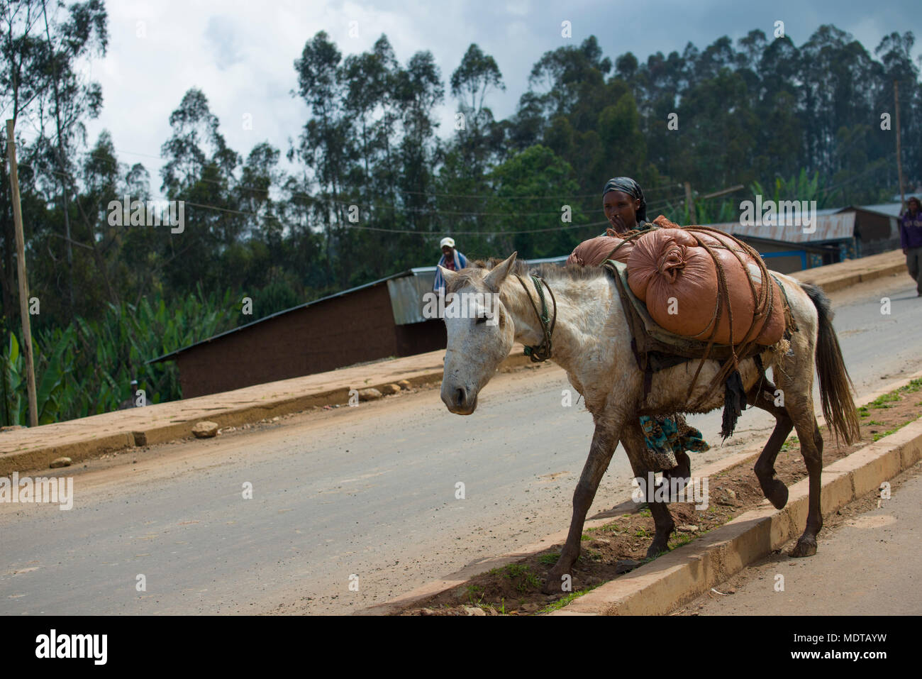 Oromia hi-res stock photography and images - Alamy