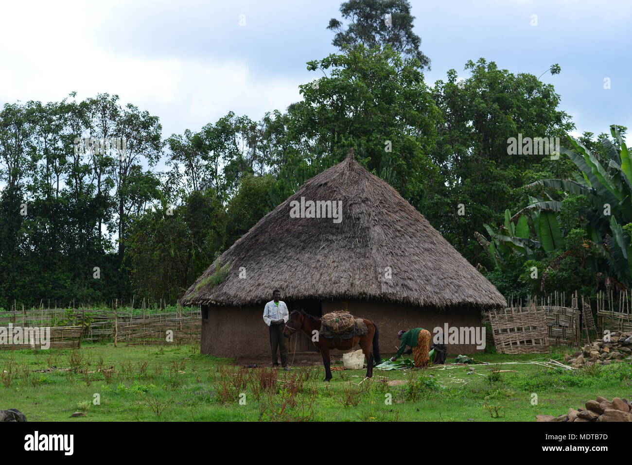 A rider at Oromia, Ethiopia Stock Photo - Alamy