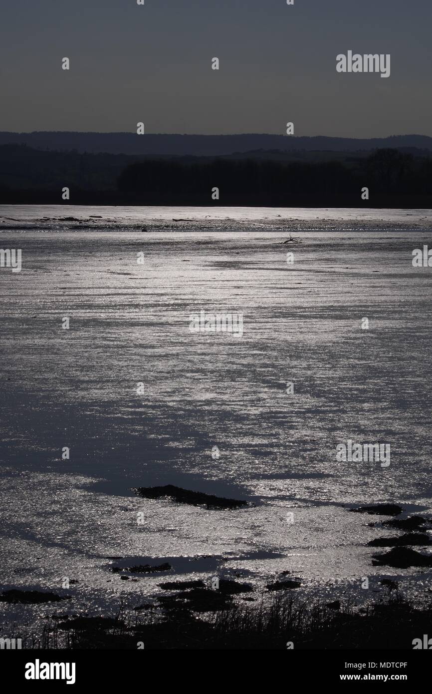 Silvery Mudflat Landscape of the Exe Estuary, from Topsham, Exeter ...