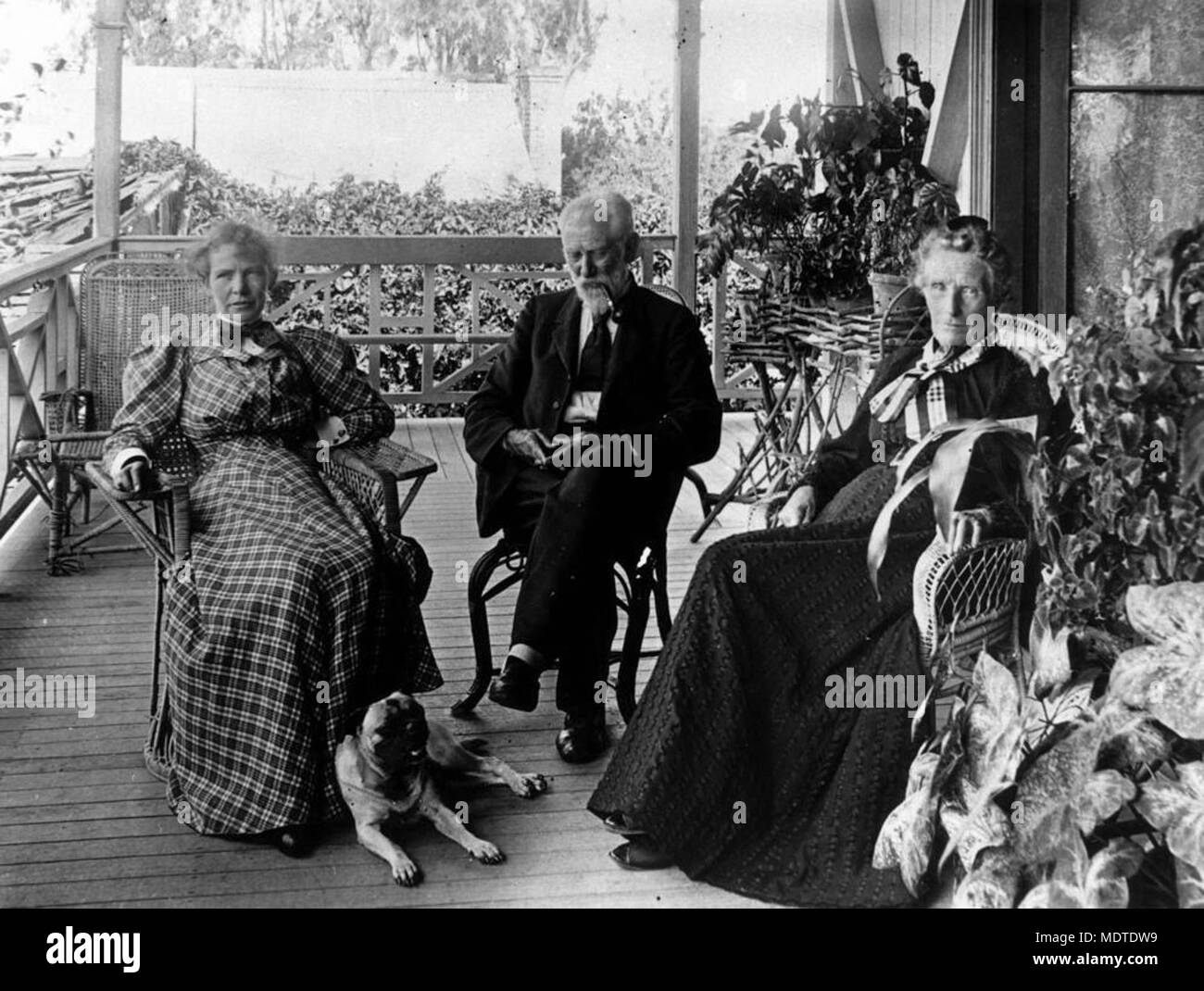 Mary alder hi-res stock photography and images - Alamy