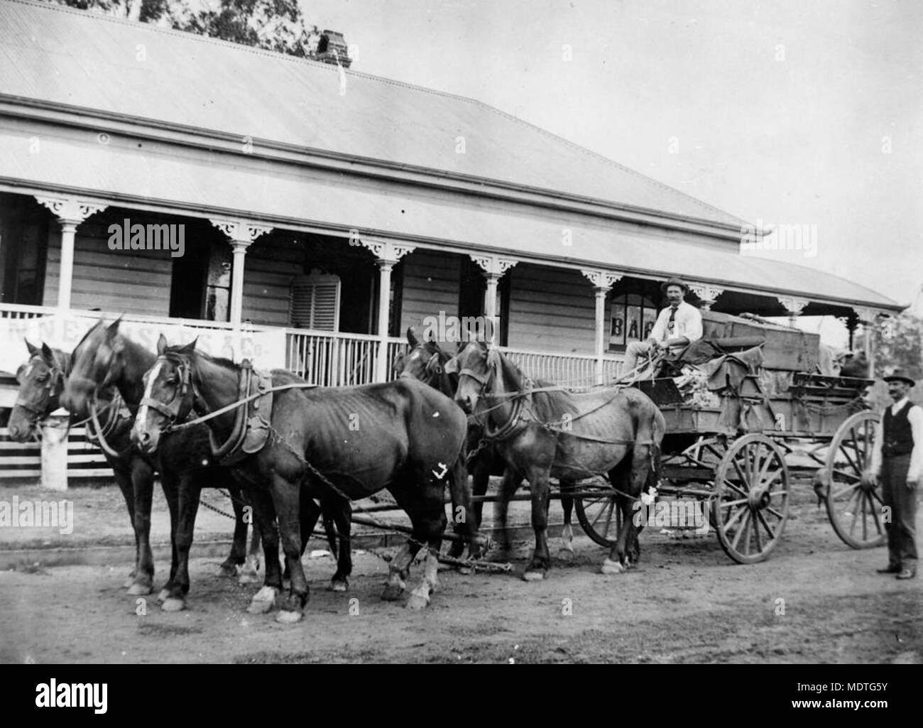 Wagon and a five horse team Stock Photo - Alamy