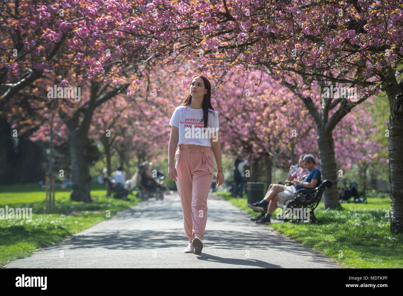 Caroline Ciuba walks through an avenue of blossom trees in Greenwich ...