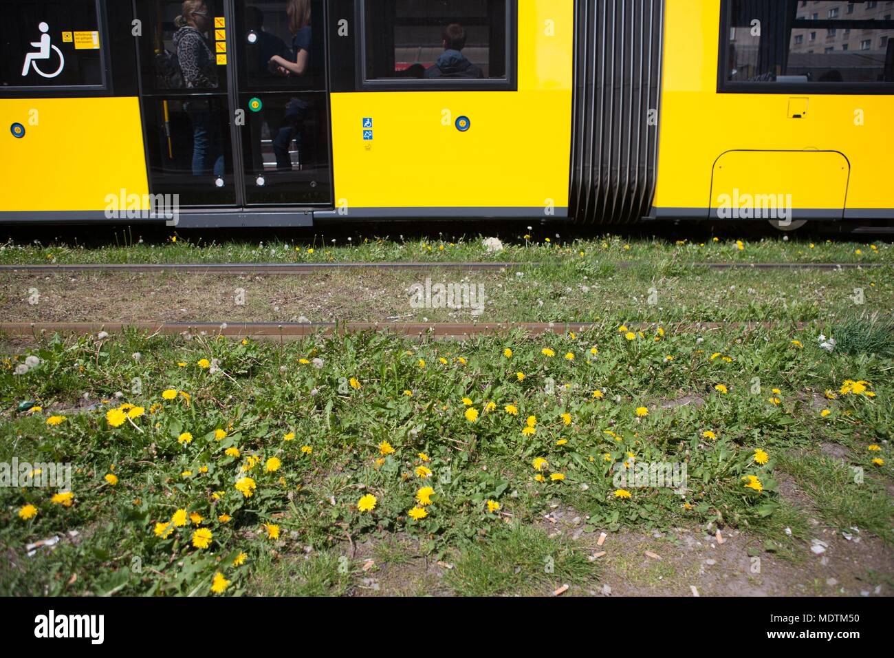 Germany, Berlin, Alexanderplatz, tramway stop, transport, grass Stock ...