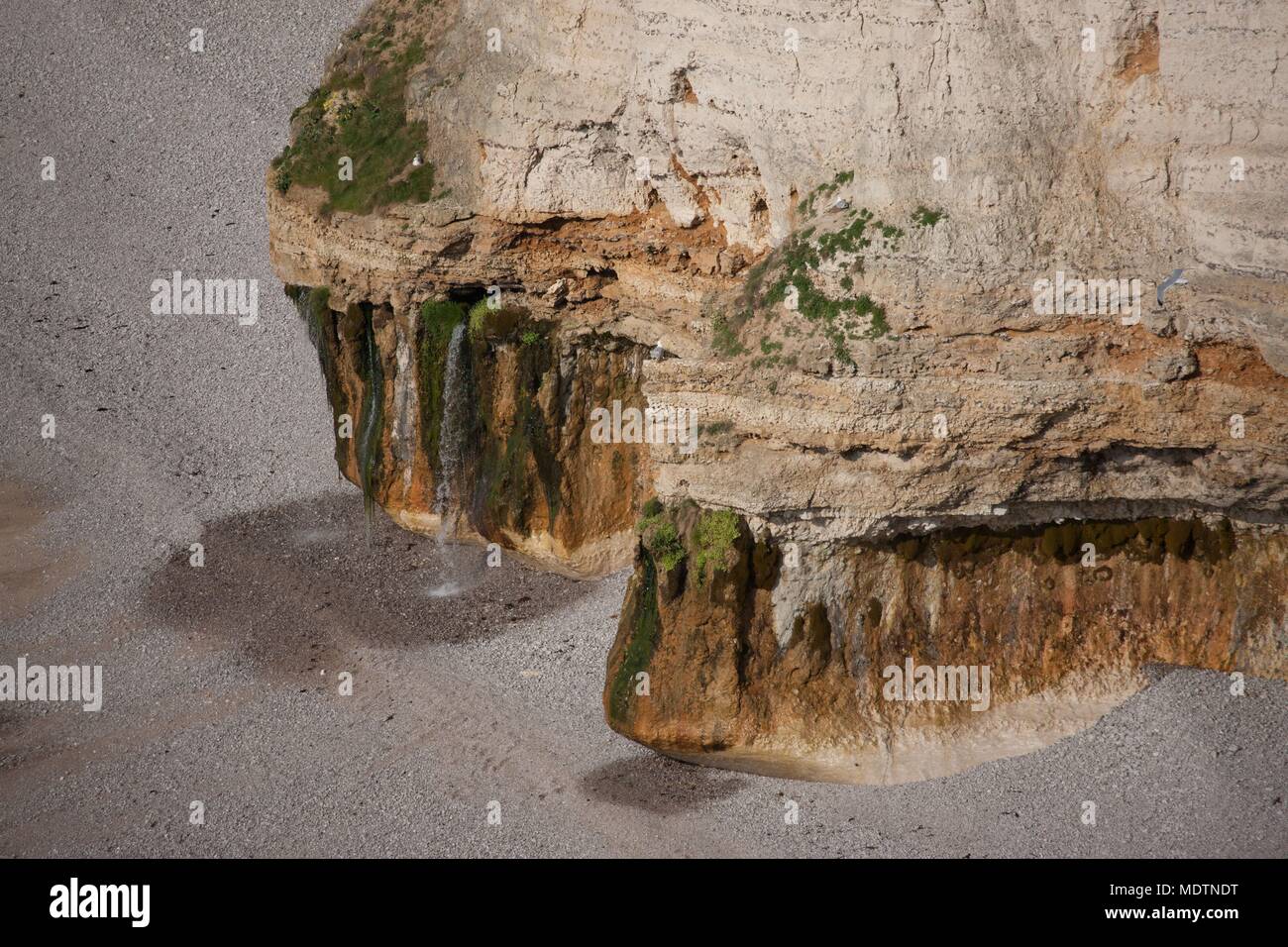 France, region Upper Normandy, Seine Maritime, Hautes Falaises land ...