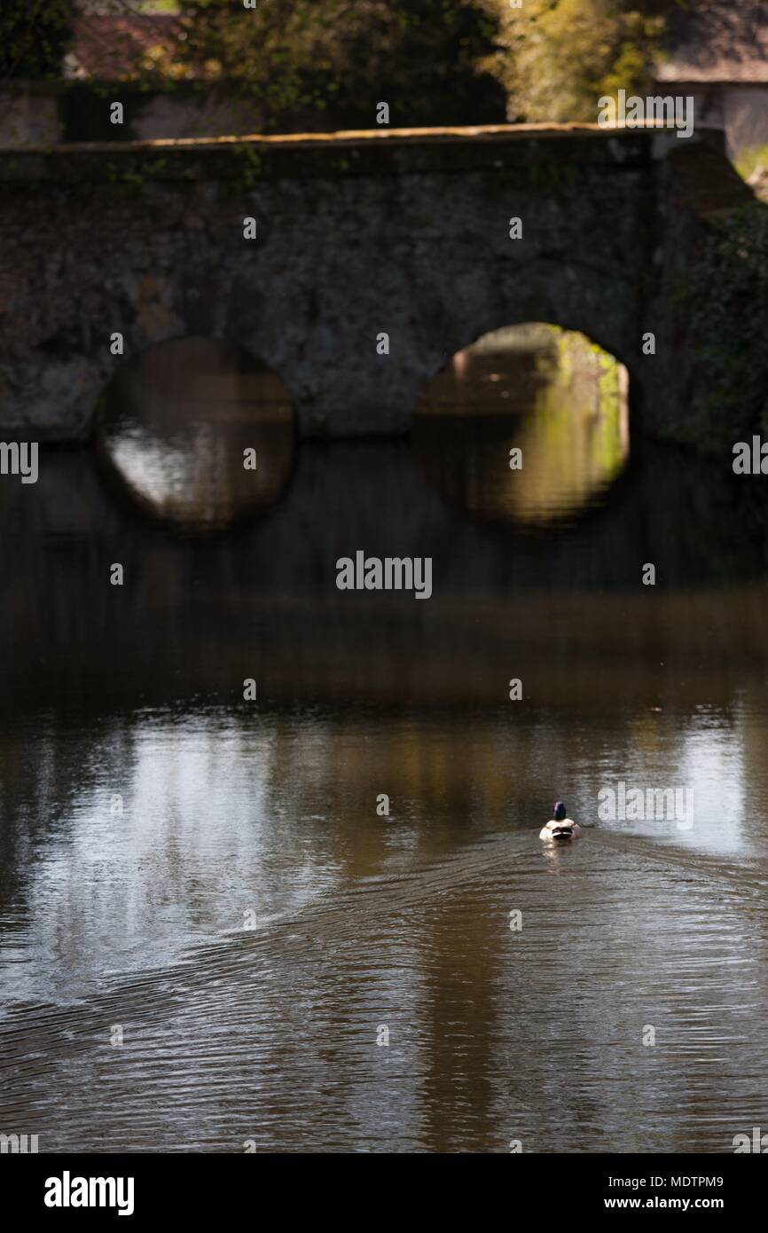 Milly la foret duck hi-res stock photography and images - Alamy