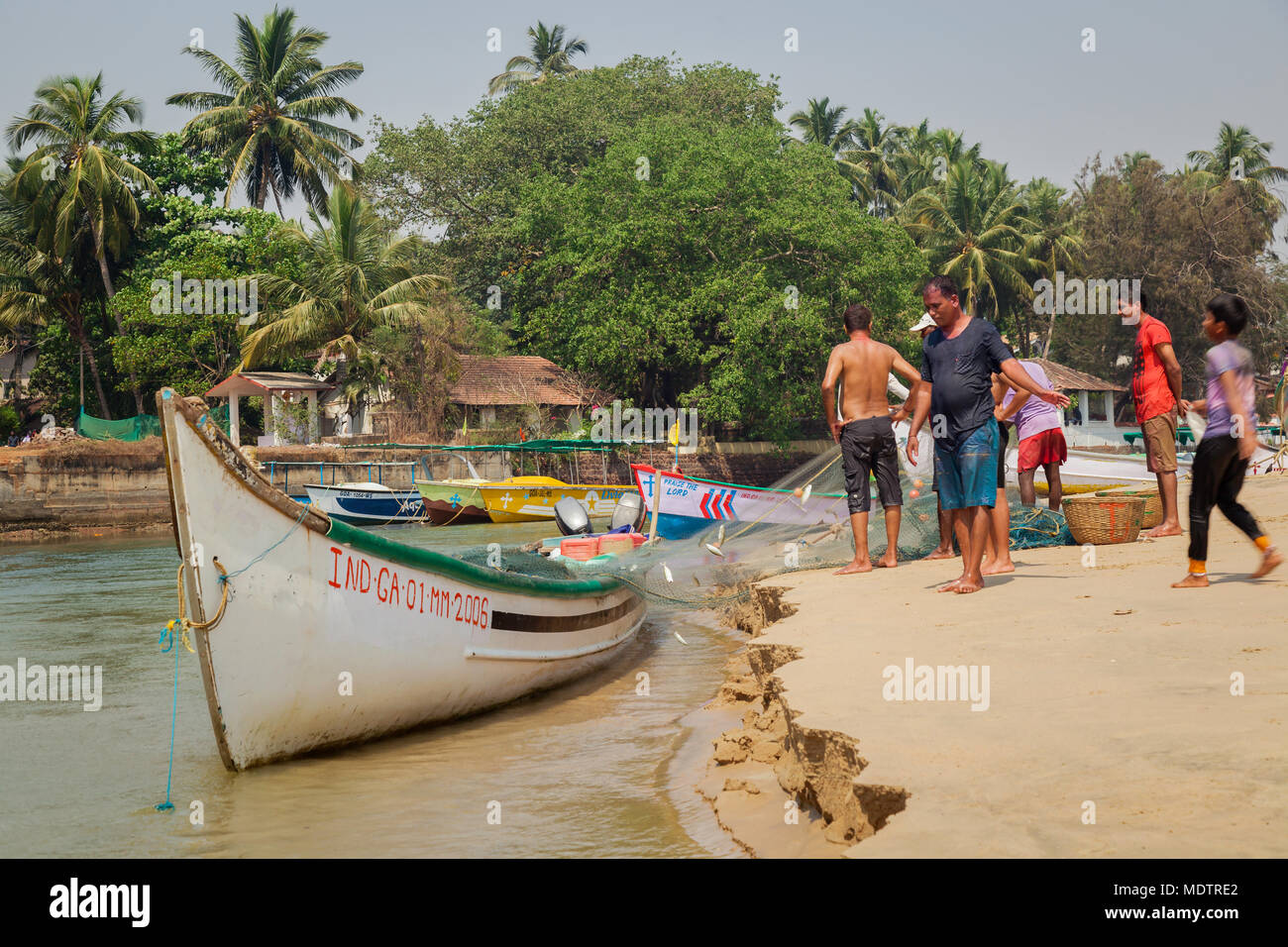 Fishing net full of fish hi-res stock photography and images - Alamy