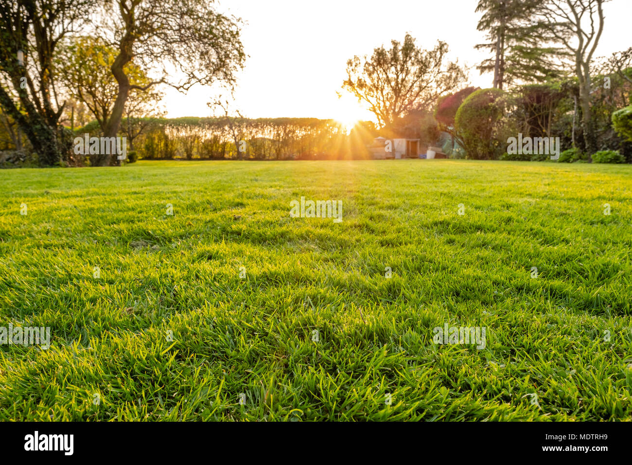 Ground level view of a well maintained and recently cut lawn seen ...