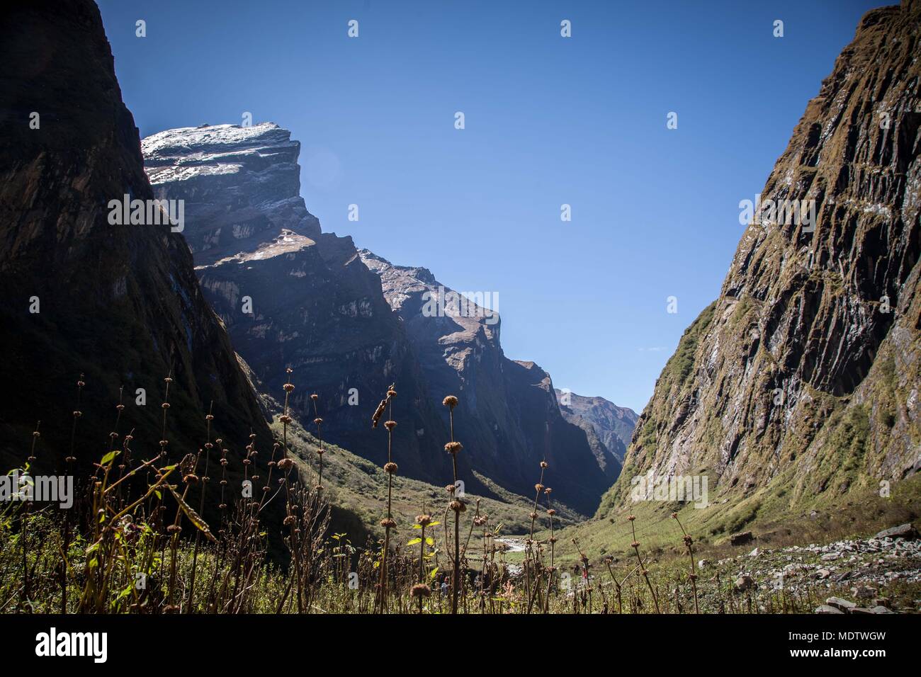 A wide landscape of a high plateau meadow in the foothills of the ...
