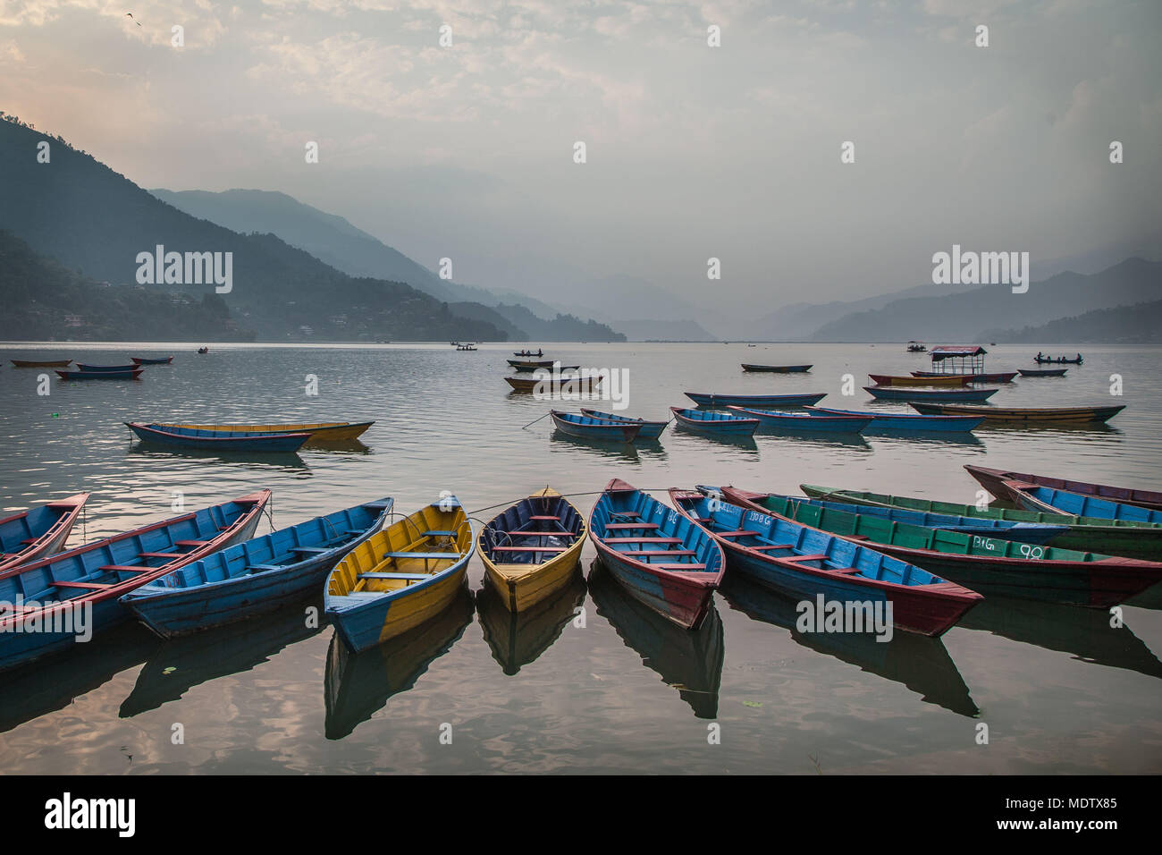 Shoreline of phewa lake hi-res stock photography and images - Alamy