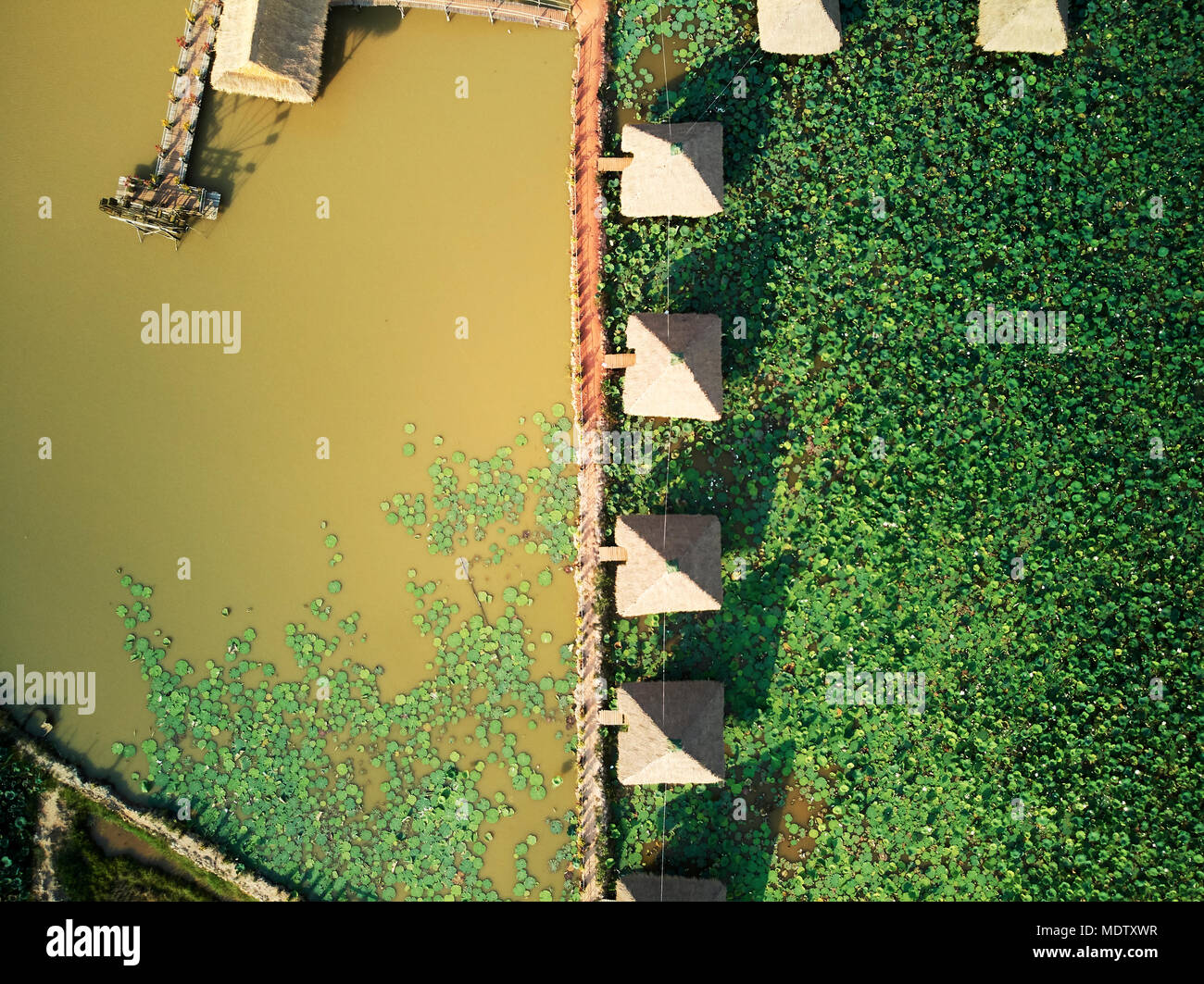 Drone farm asia hi-res stock photography and images - Alamy