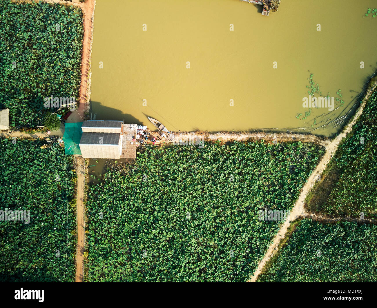 Drone farm asia hi-res stock photography and images - Alamy