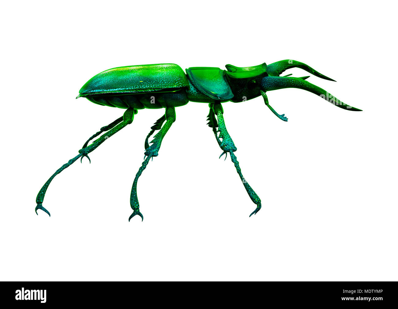 3D rendering of a green stag beetle isolated on white background Stock ...