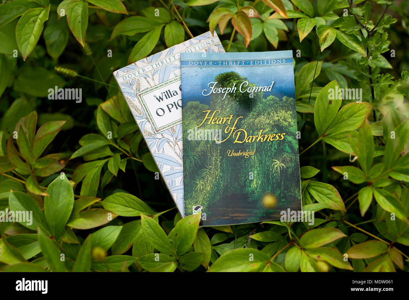 Willa carter hi-res stock photography and images - Alamy