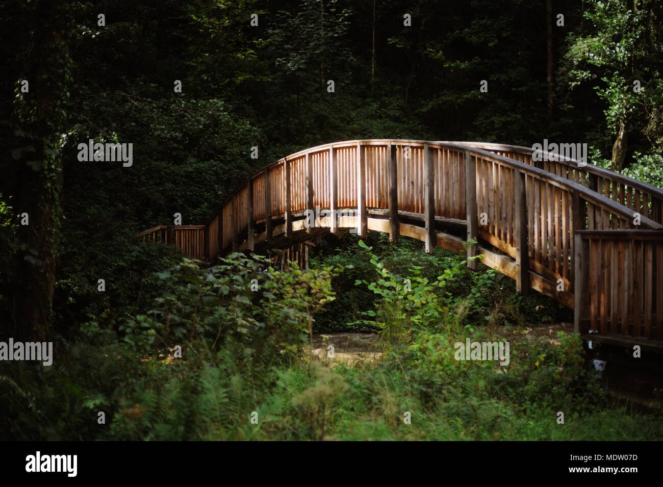 Glulam laminated timber arch bridge hi-res stock photography and images ...