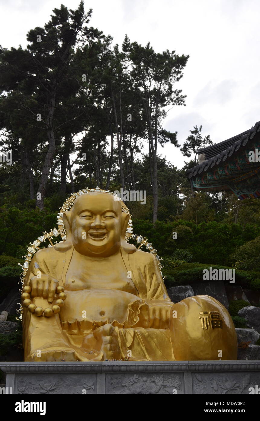 Golden Buddha Statue in Busan Stock Photo - Alamy