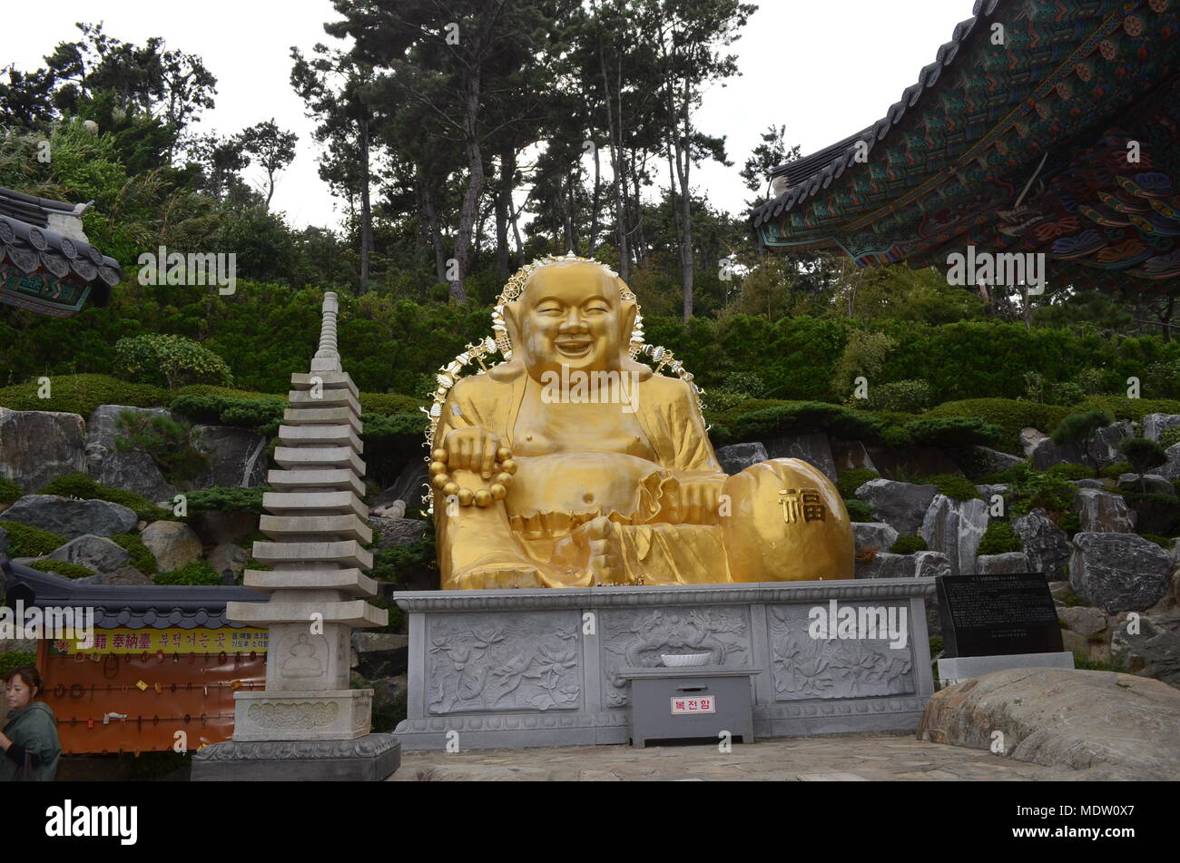 Golden Buddha Statue in Busan Stock Photo - Alamy