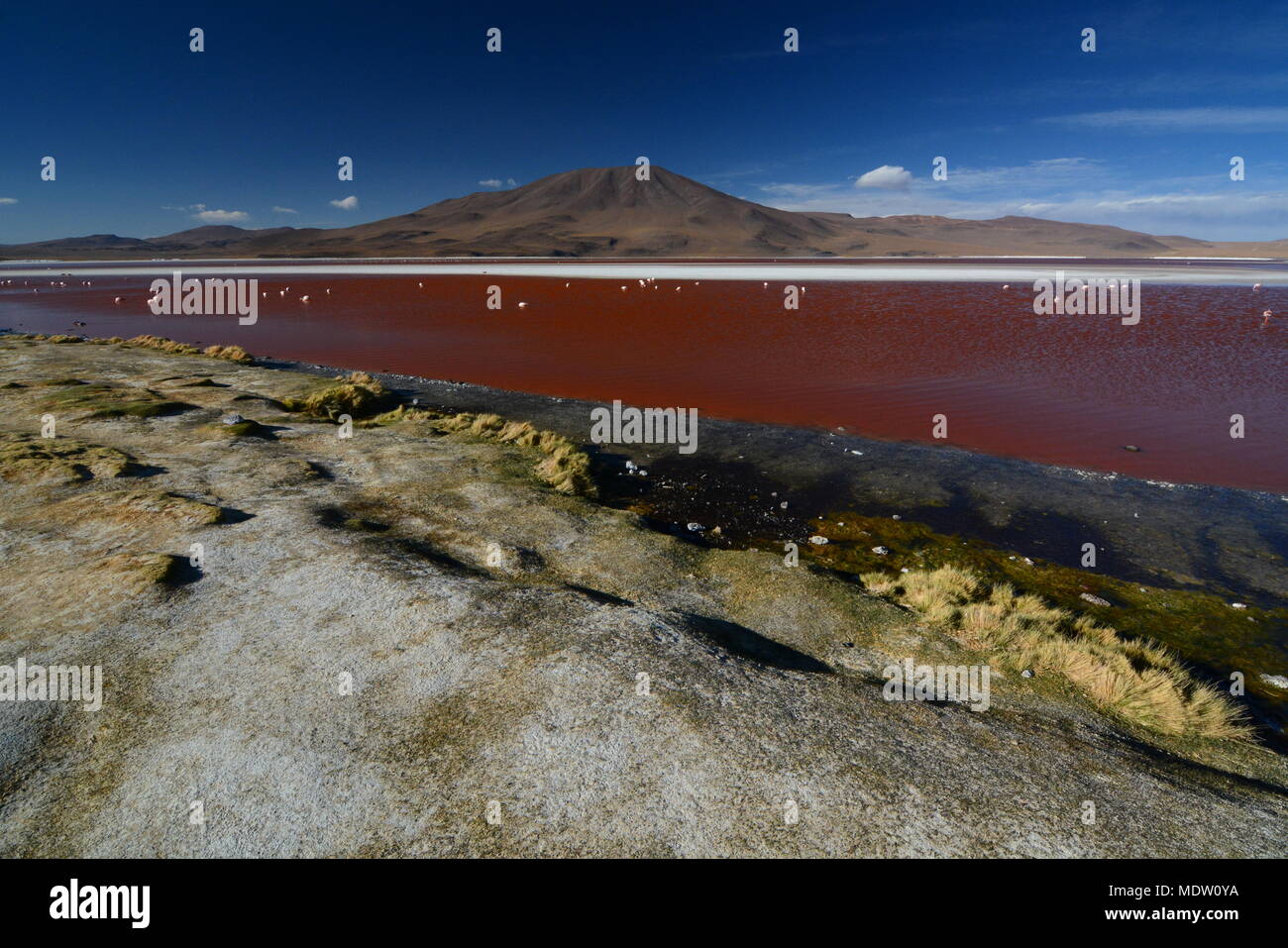 Laguna Colorada landscape. Eduardo Avaroa Andean Fauna National Reserve ...