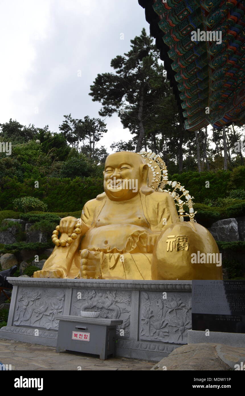 Golden Buddha Statue in Busan Stock Photo - Alamy