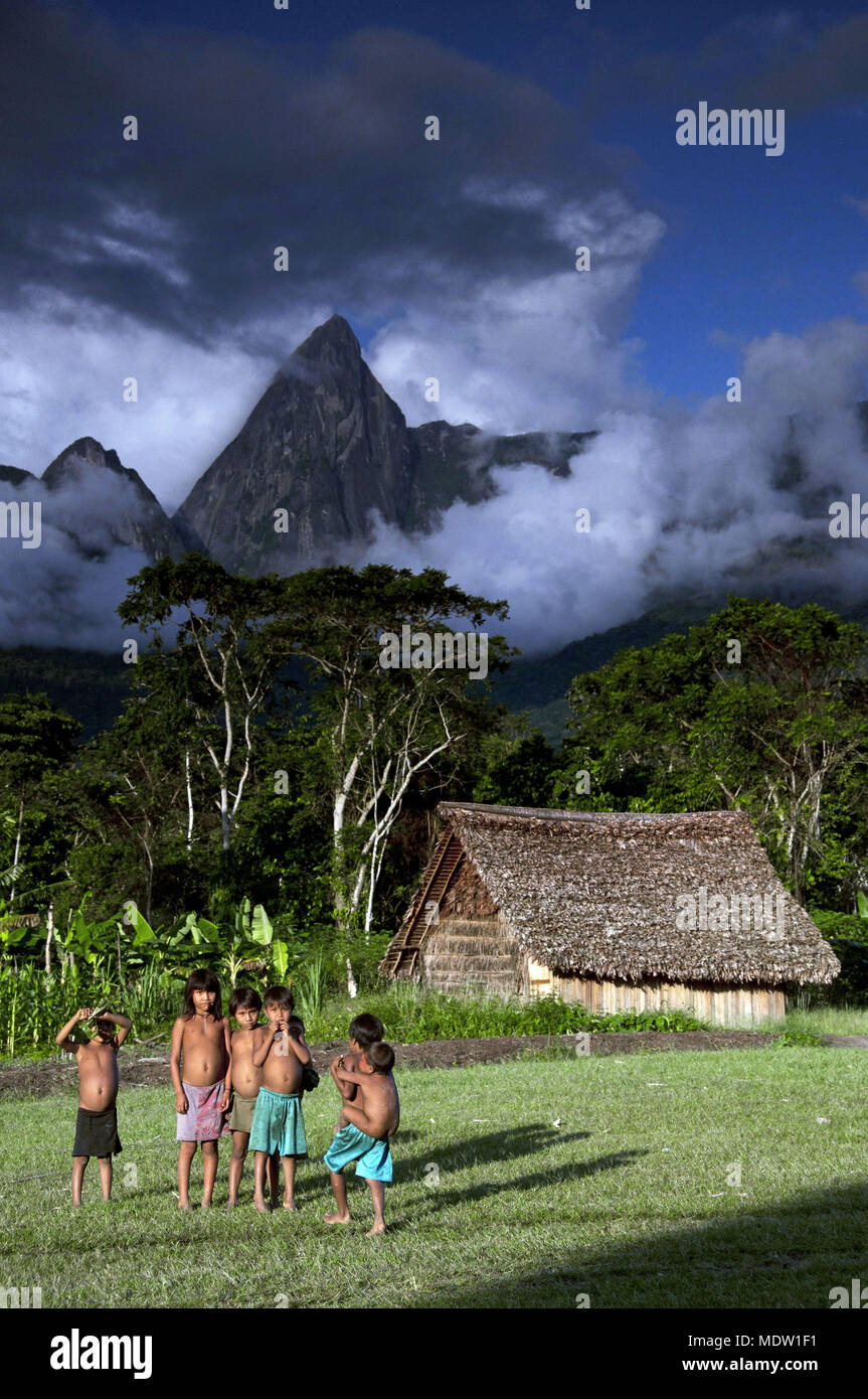 Yanomami children of the village of Marari the runway - Sierra ...