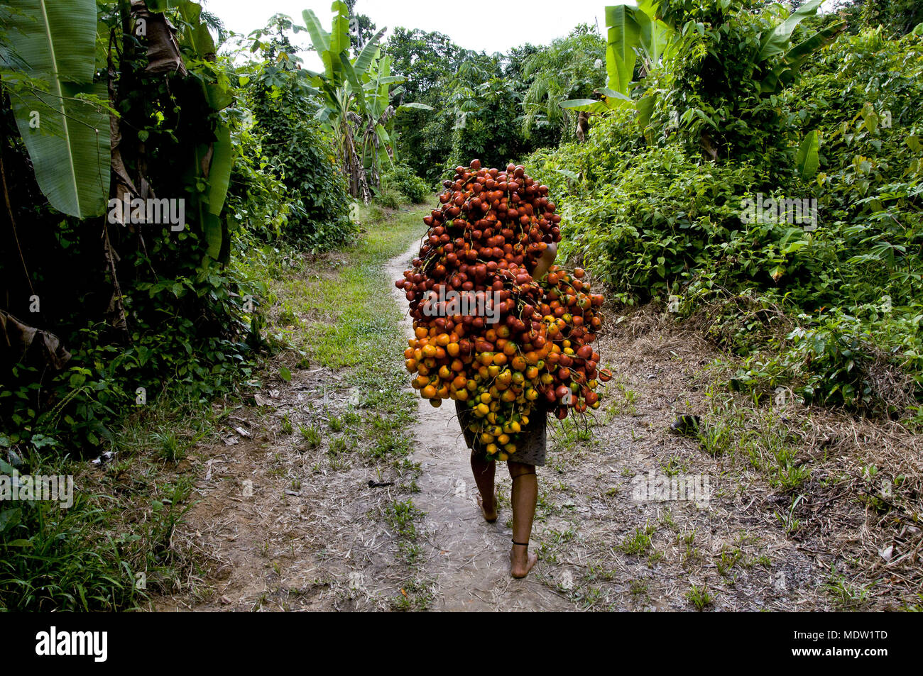 Yanomami High Resolution Stock Photography and Images - Alamy